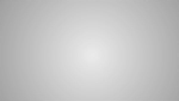 Locator Scan Body, (4 Pack) - IQ IMPLANTS USA